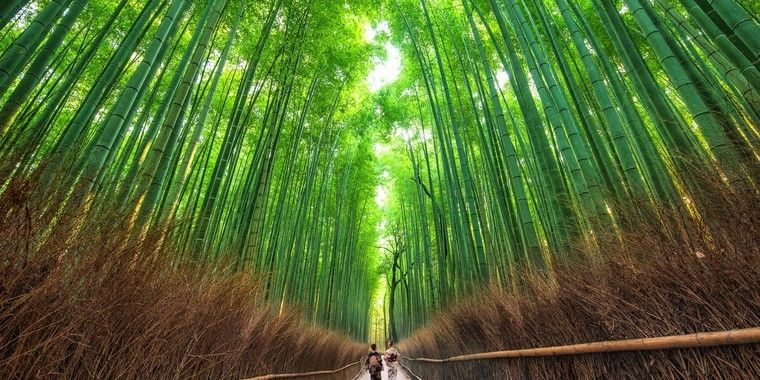 Join the Explore Asia Photo Contest and win Sigma Lens and more ...